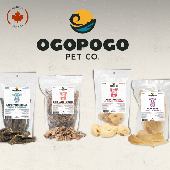 Paw Pro Supply | Canadian Pet Supply Distributor & Wholesaler